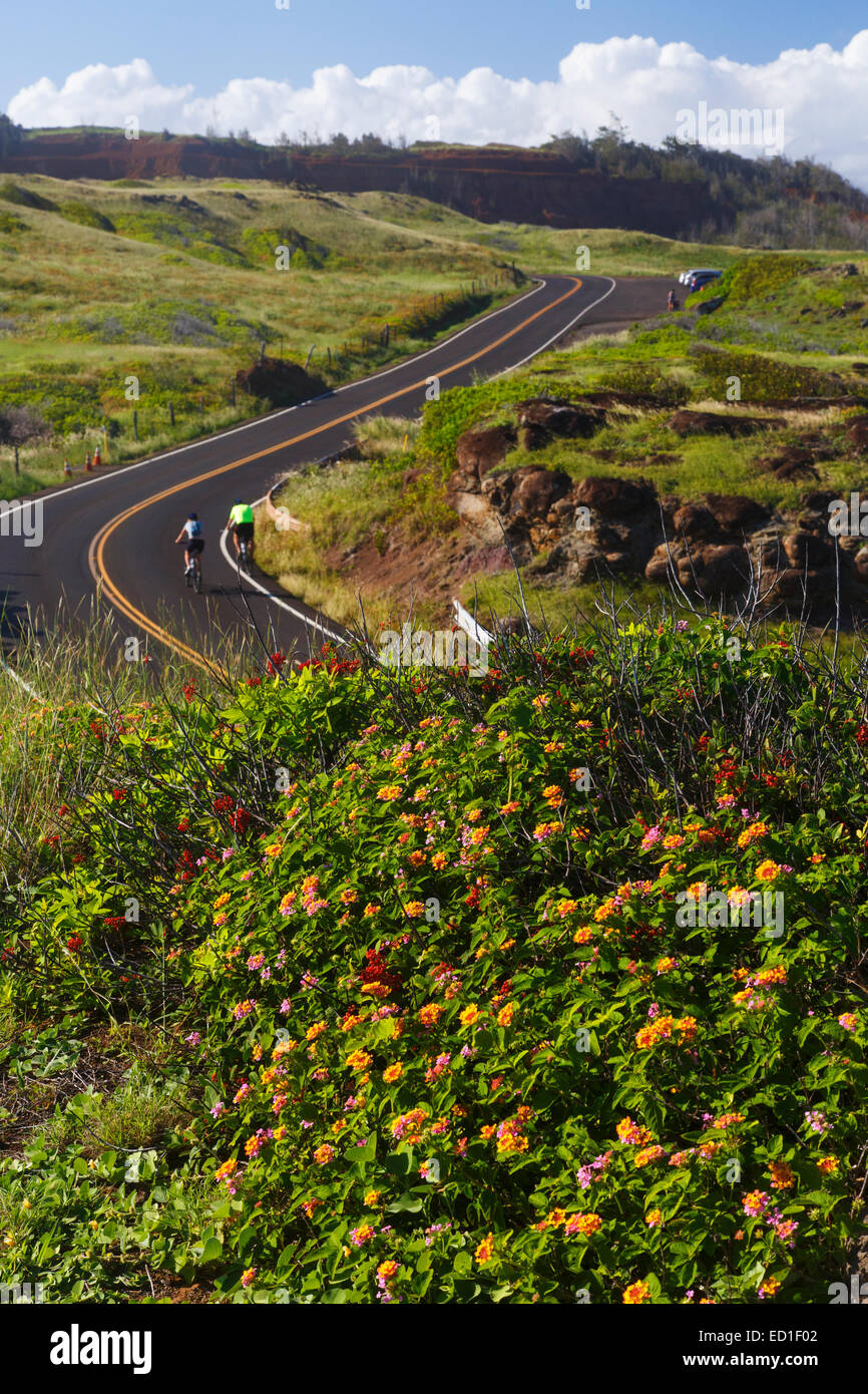 The road along the North end of Maui, Hawaii Stock Photo - Alamy