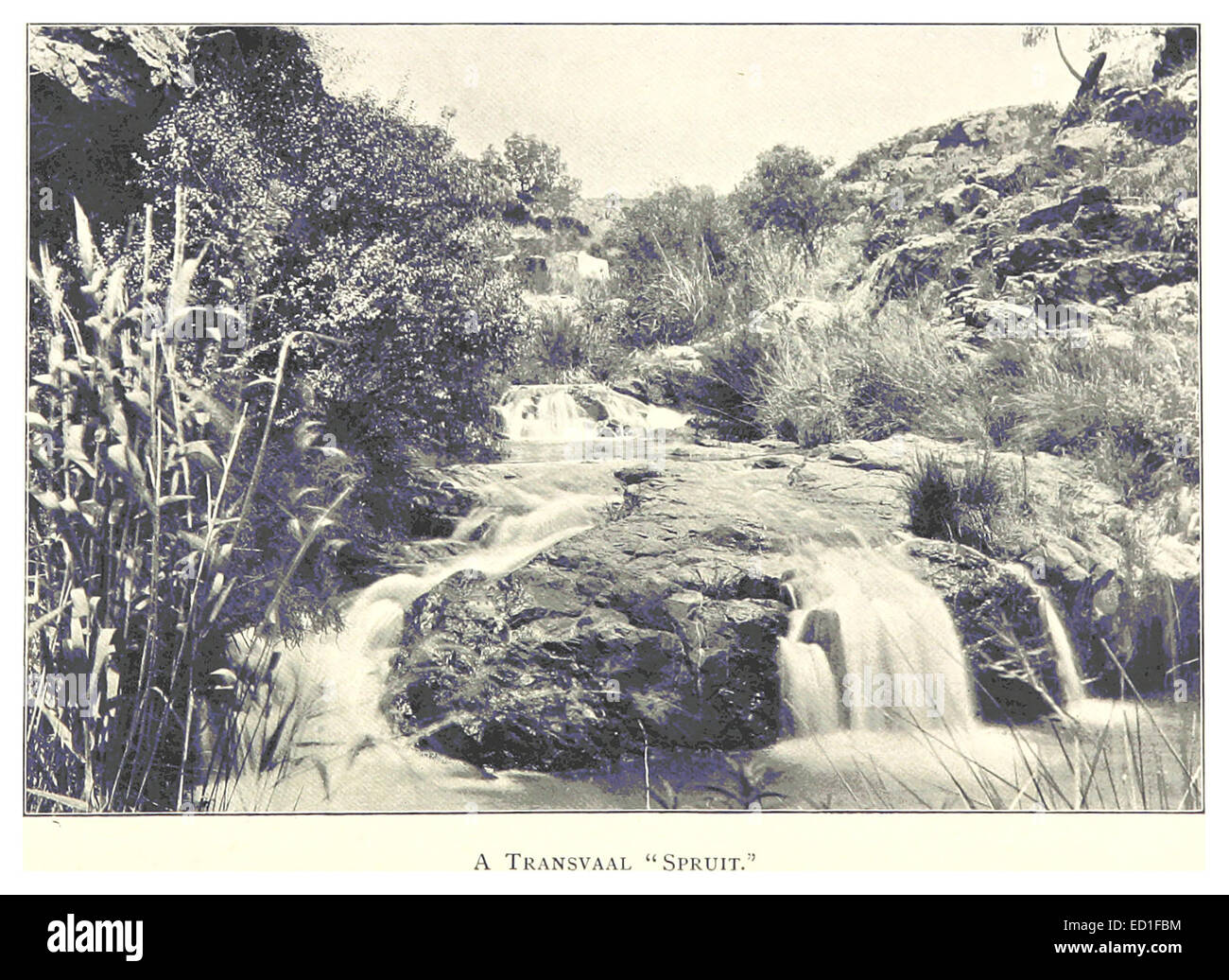 Entry from natural history hi-res stock photography and images - Alamy