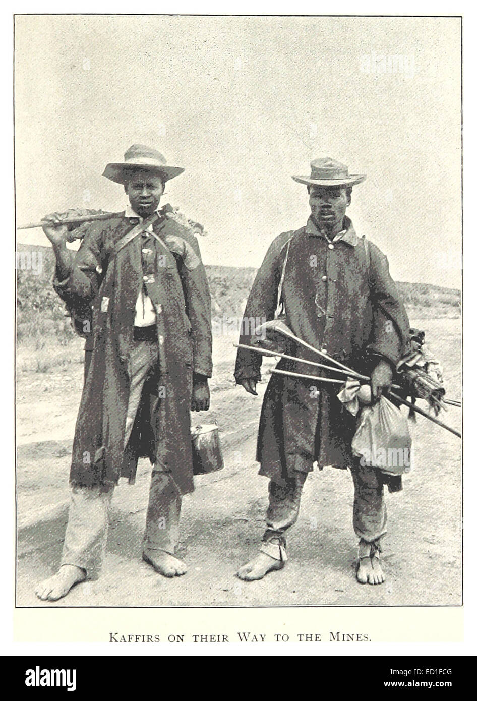 Kaffirs hi-res stock photography and images - Alamy