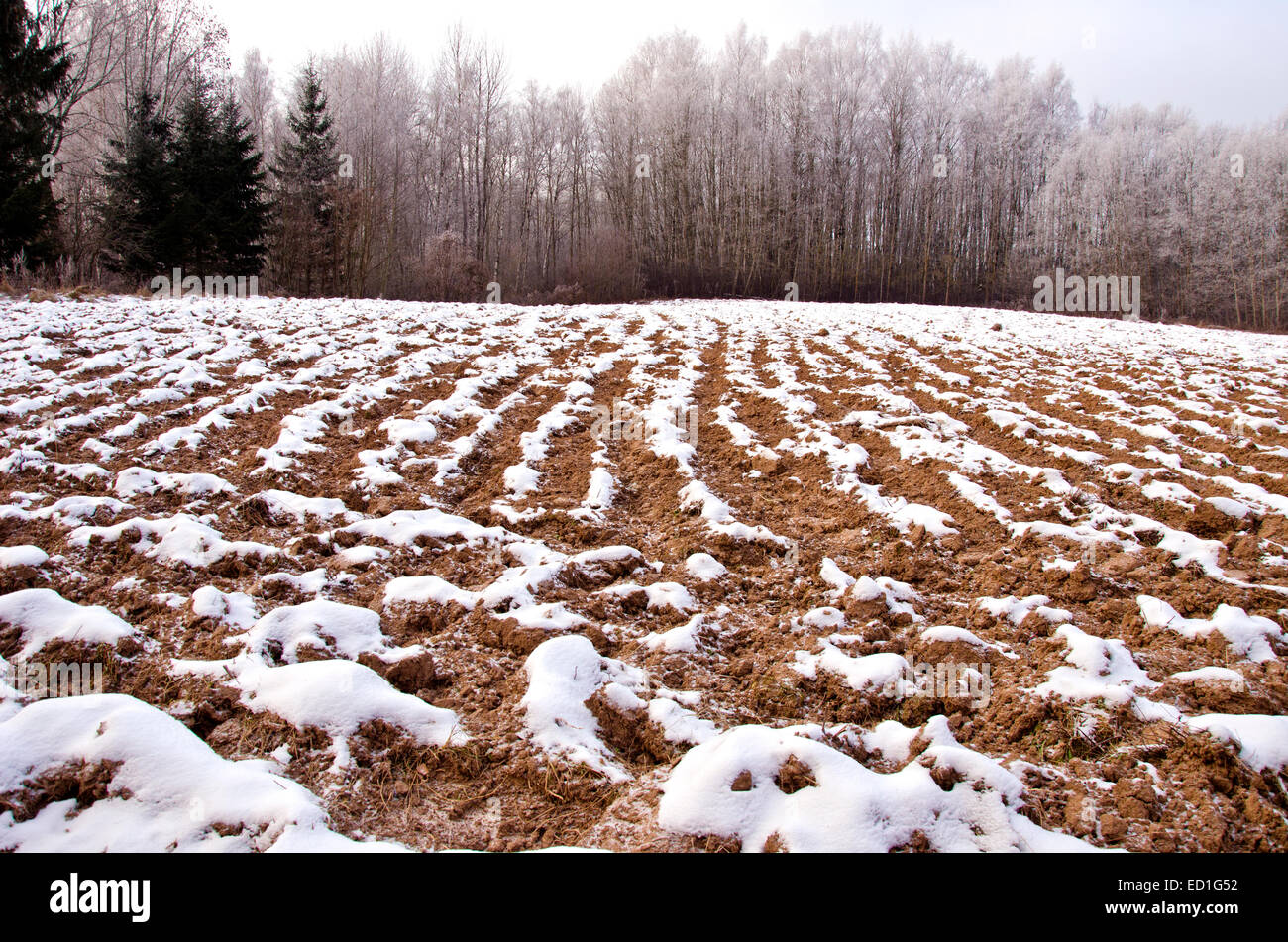 Farmland covered in snow hi-res stock photography and images - Alamy
