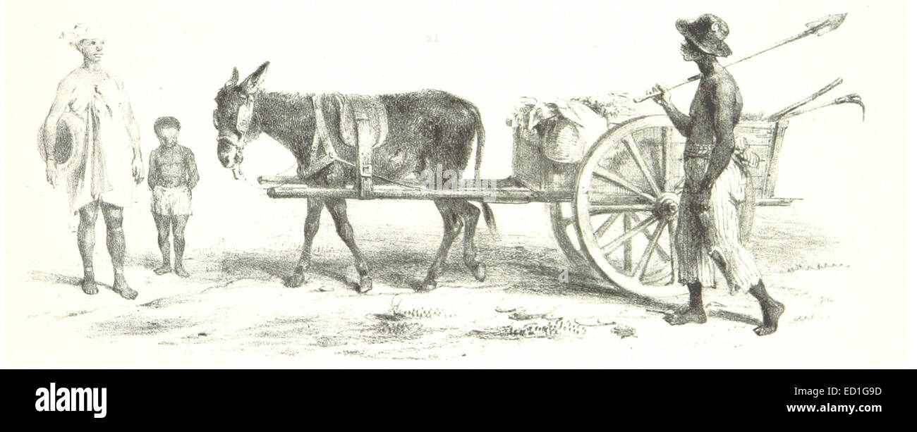 This illustration shows a government slave tasked with cleaning the ...