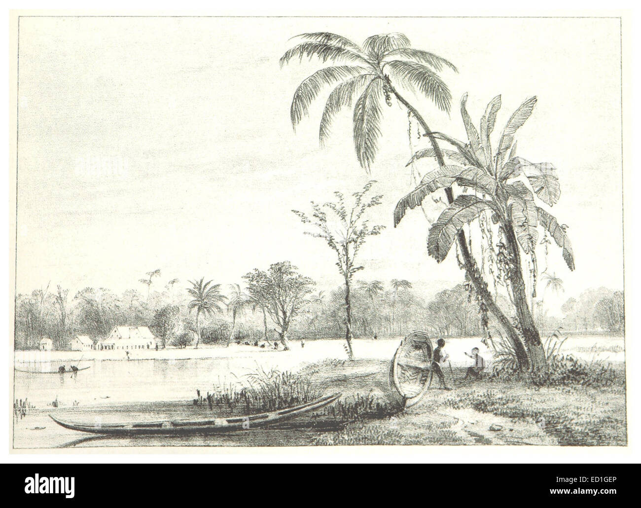 This 19th-century illustration depicts a planter's house, showcasing ...