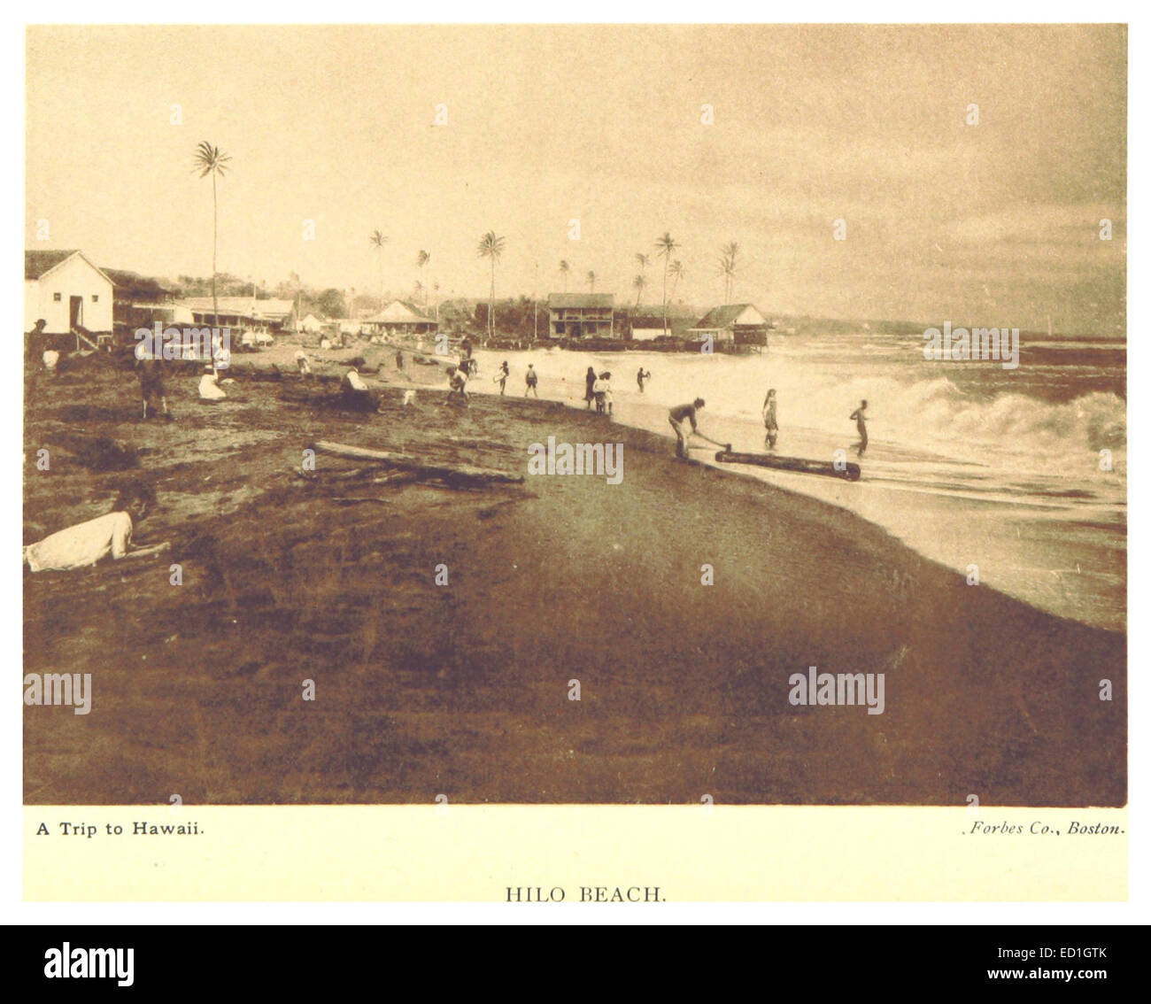 This 1892 illustration by Stoddard depicts the scenic beauty of Hilo ...
