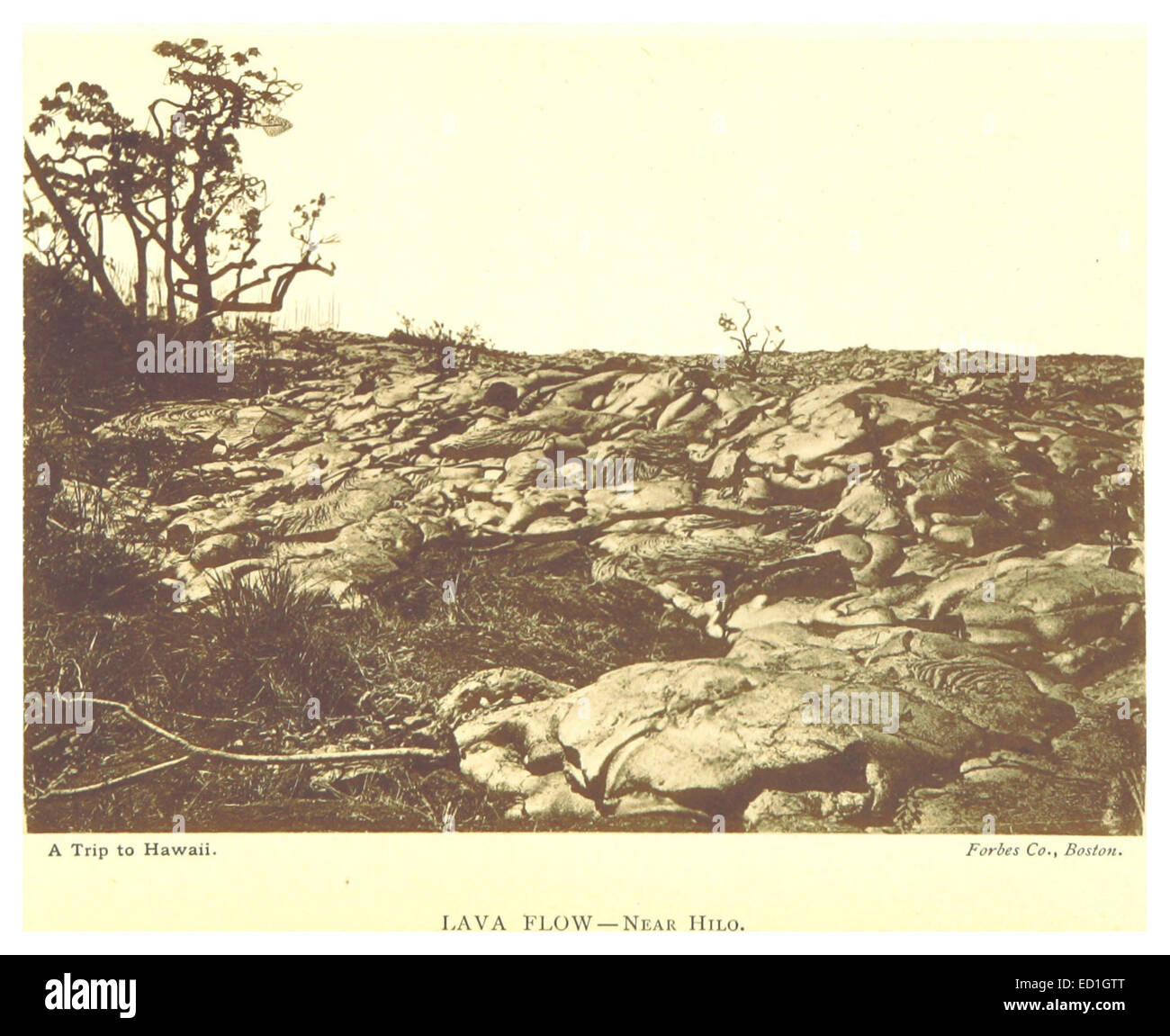 An 1892 illustration by Stoddard depicting a lava flow near Hilo ...