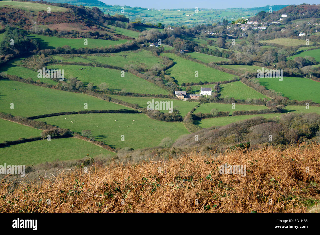 Farm and farmland East Devon England Stock Photo - Alamy