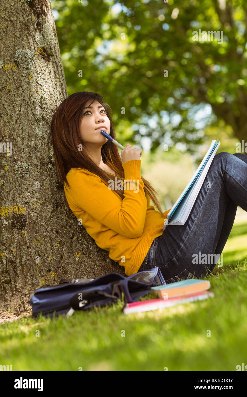 Female student with books sitting against tree in park Stock Photo - Alamy