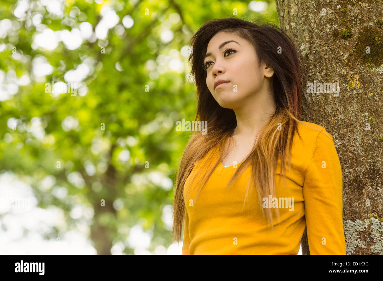 Attractive tree for park hi-res stock photography and images - Alamy