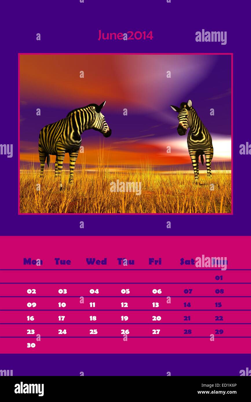 Colorful english calendar for june 2014 - two zebras in the yellow ...