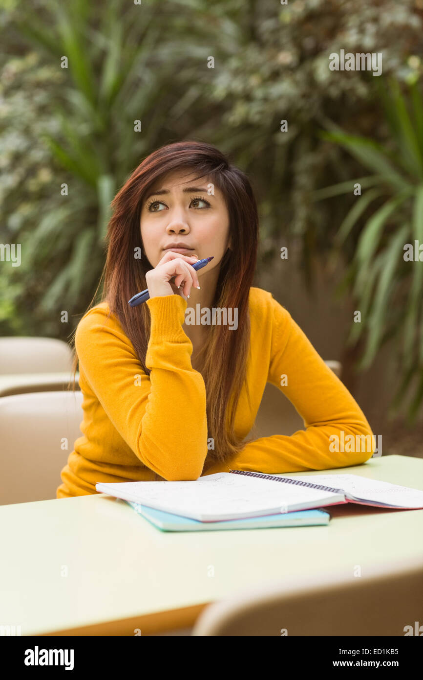 Female college student doing homework Stock Photo - Alamy