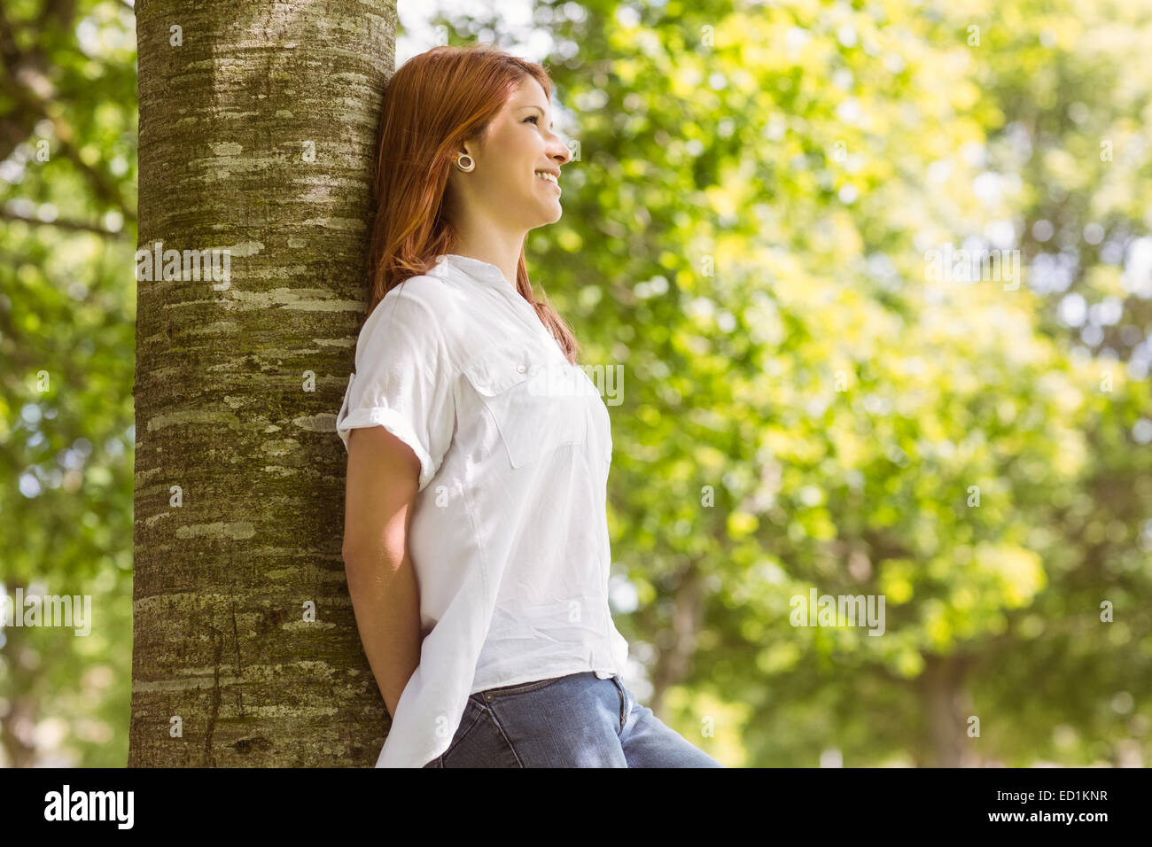 Leaning trunk hi-res stock photography and images - Alamy