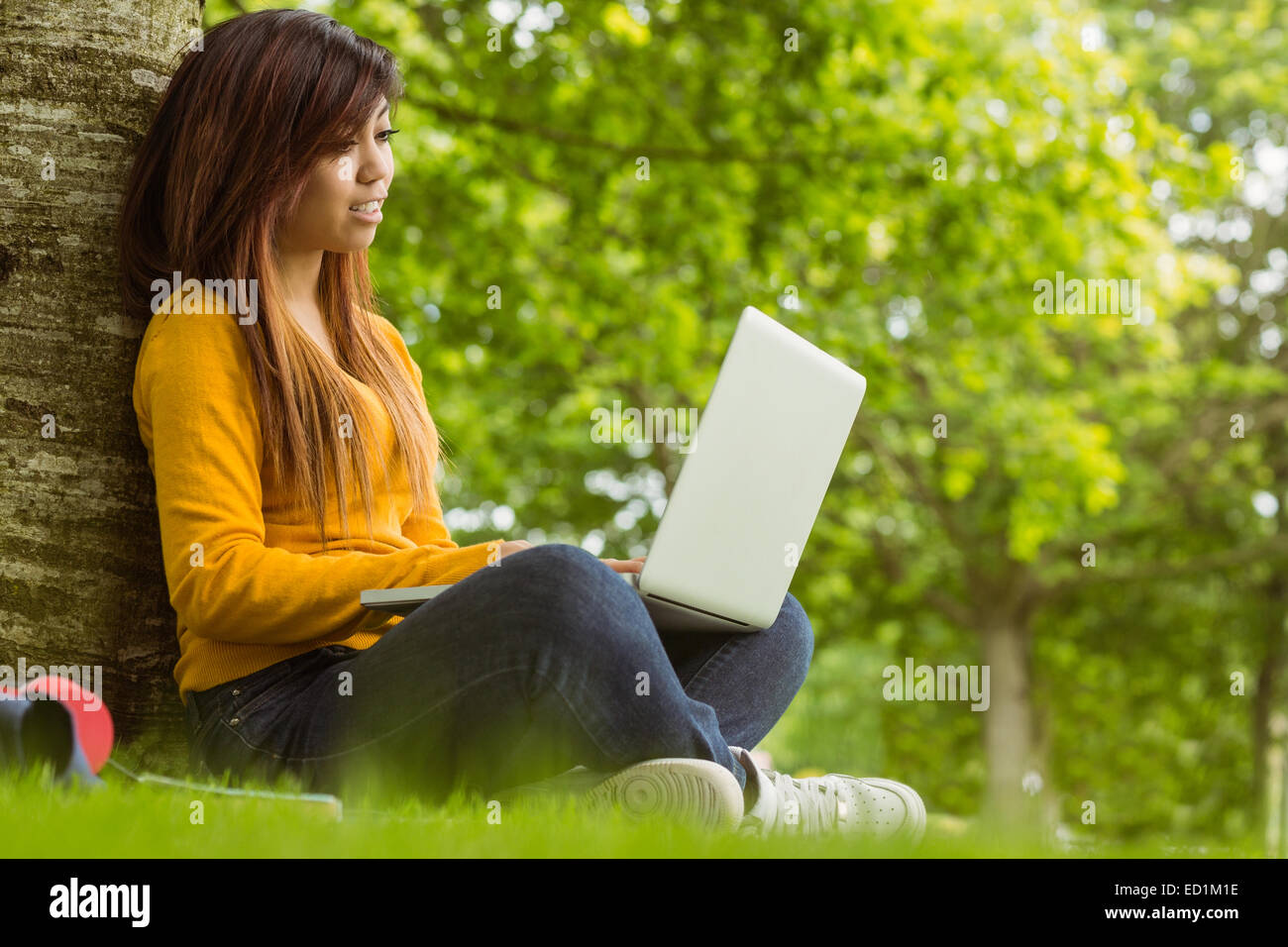 Young woman in park laptop hi-res stock photography and images - Alamy