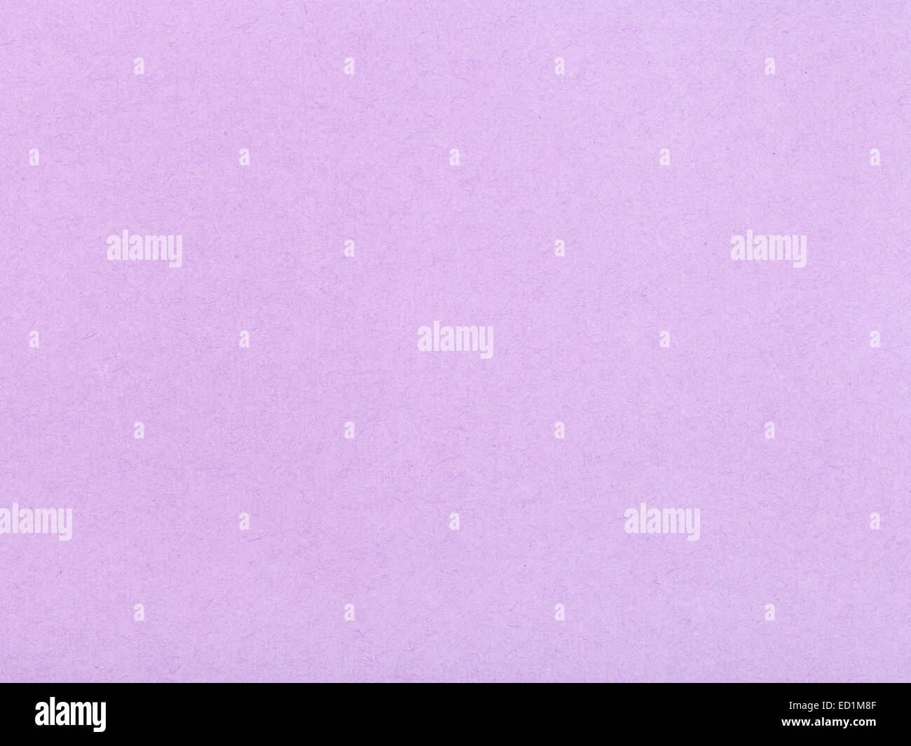 background from sheet of color violet fiber paper close up Stock Photo ...