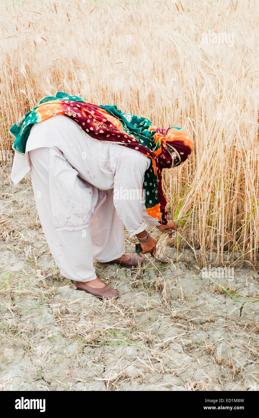 Rural old indian woman hi-res stock photography and images - Alamy