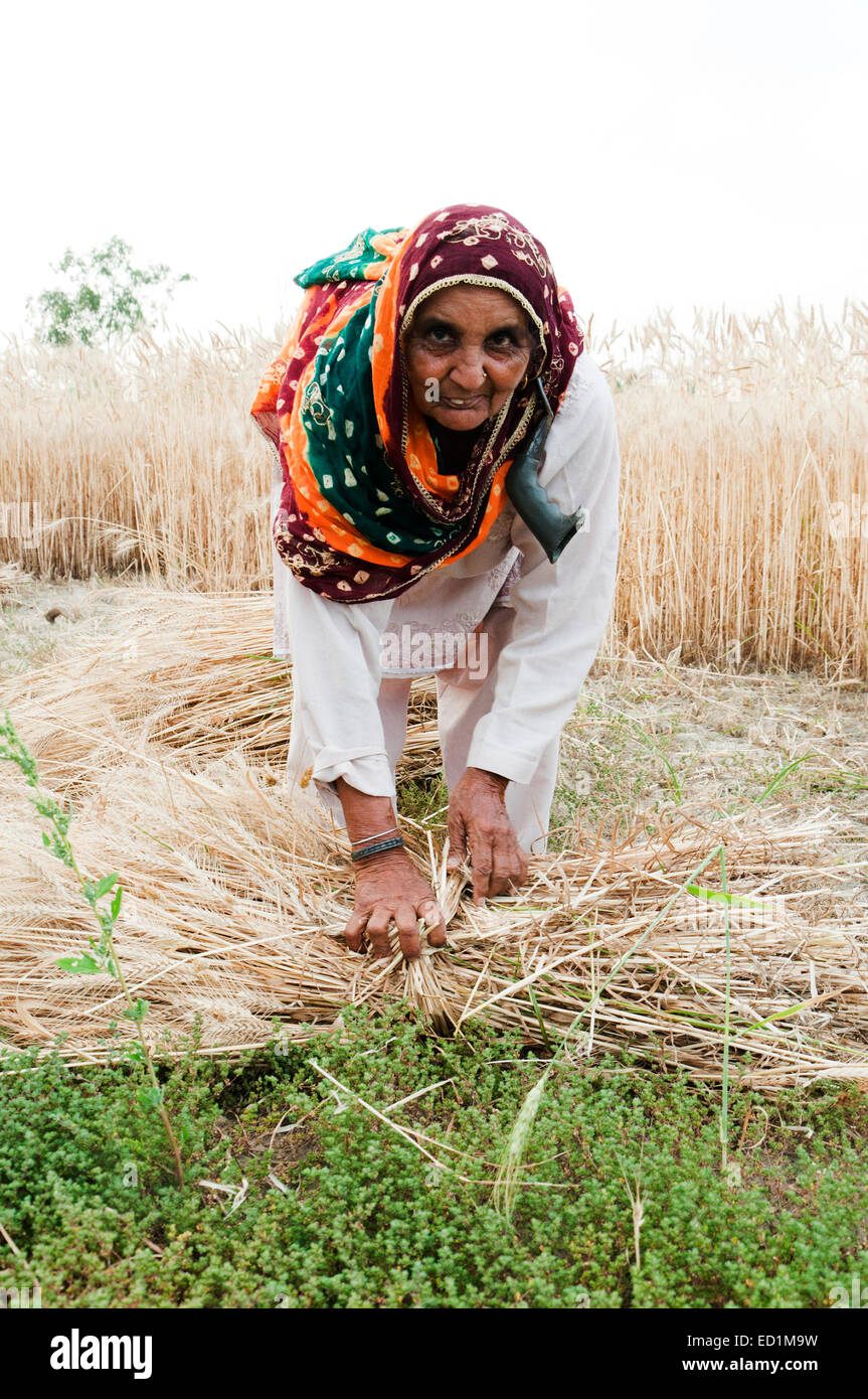 Indian village rural old lady hi-res stock photography and images - Alamy