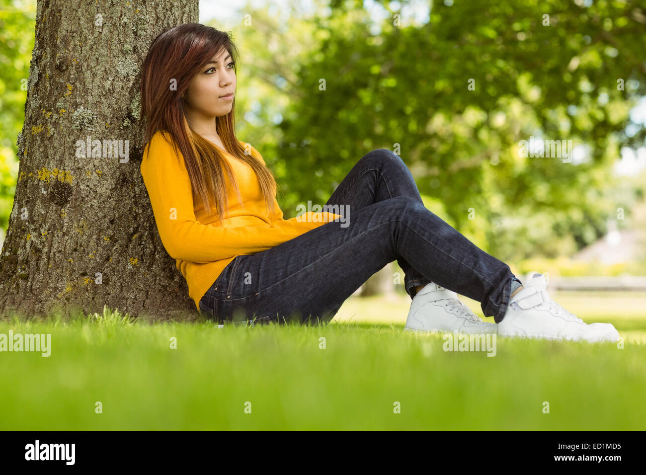 Woman sitting against tree trunk hi-res stock photography and images ...