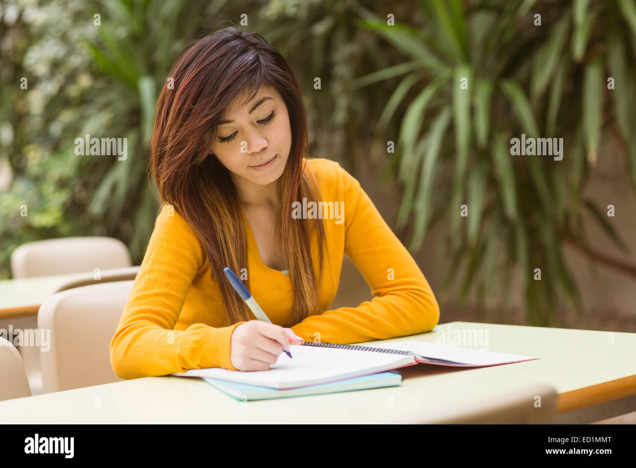 Female college student doing homework Stock Photo - Alamy