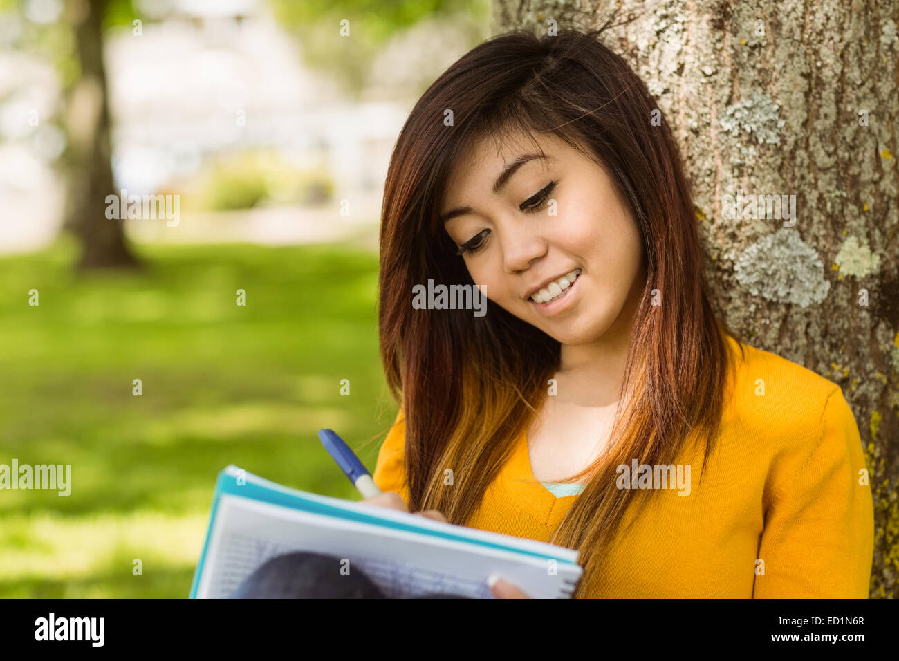 College student doing homework against tree in park Stock Photo - Alamy