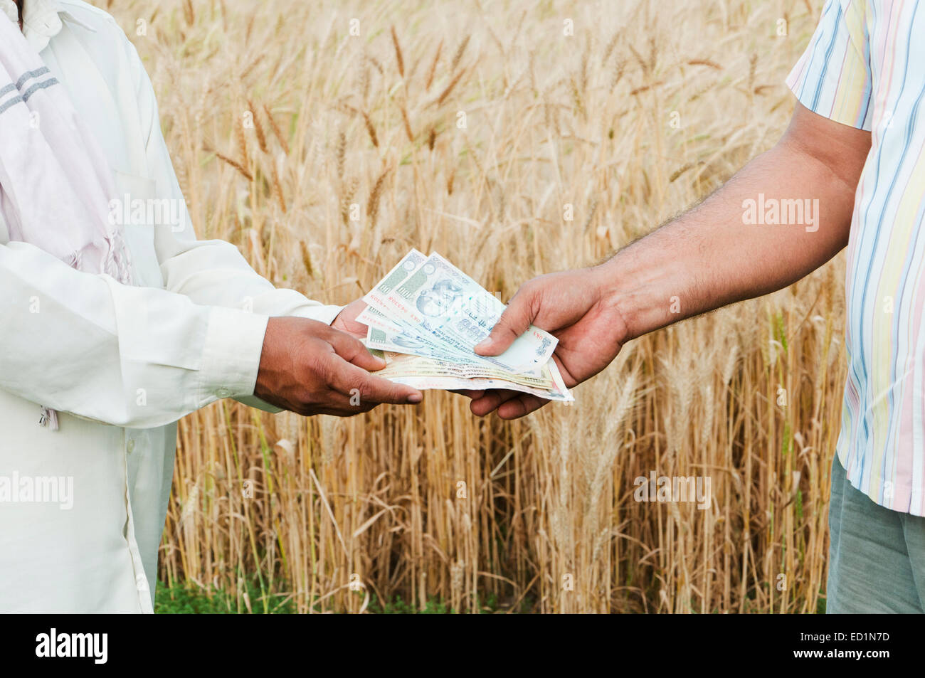 indian Village rural farmer Giving money Stock Photo - Alamy