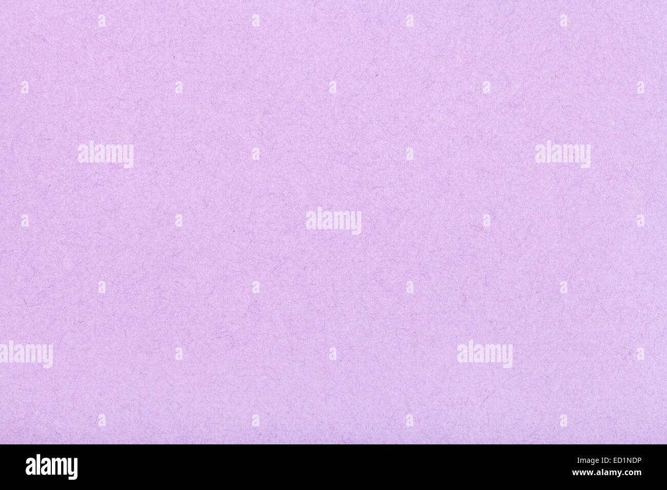 background from sheet of lilac pastel paper close up Stock Photo - Alamy