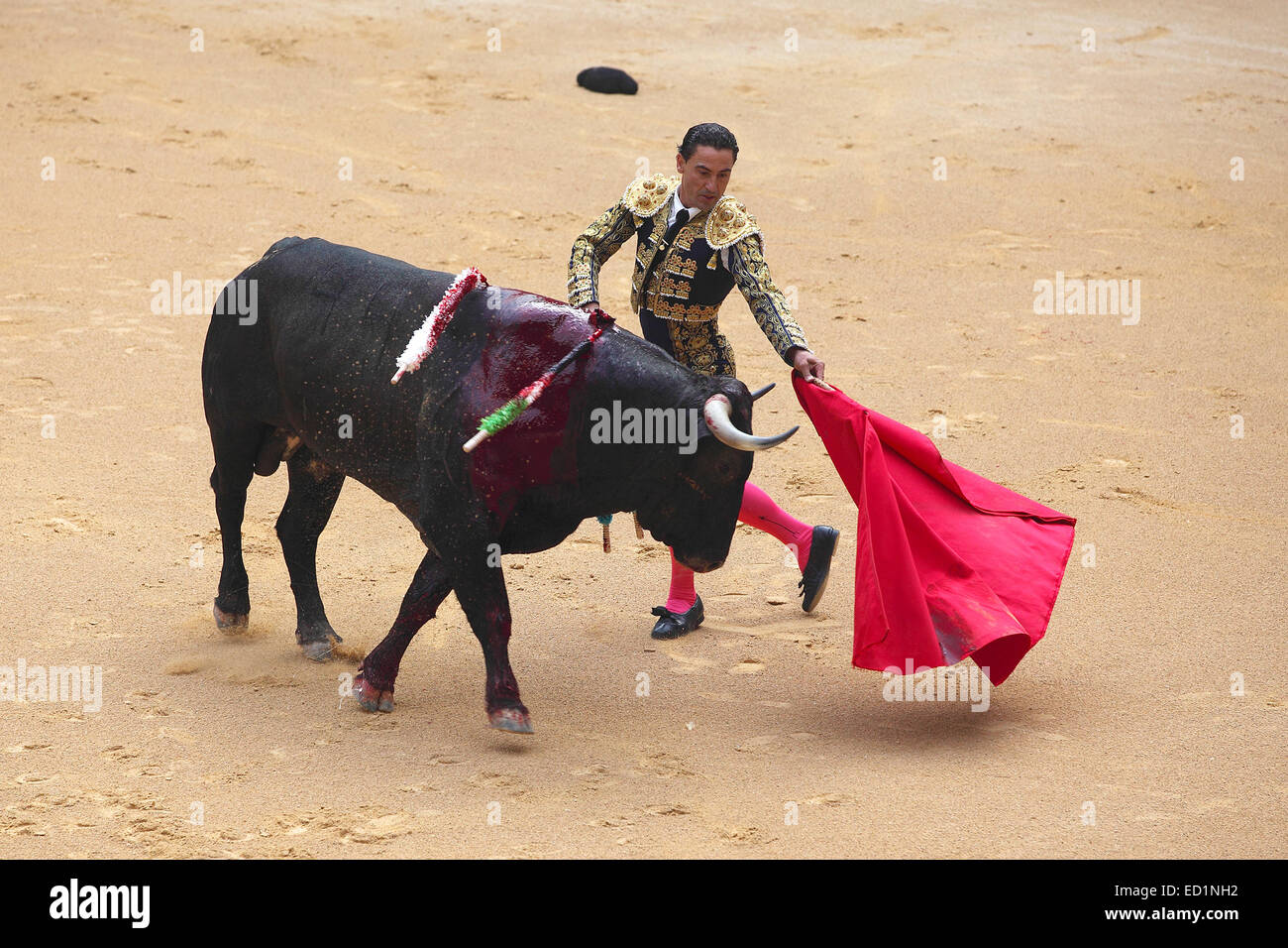 Bull fighting Spain Stock Photo - Alamy