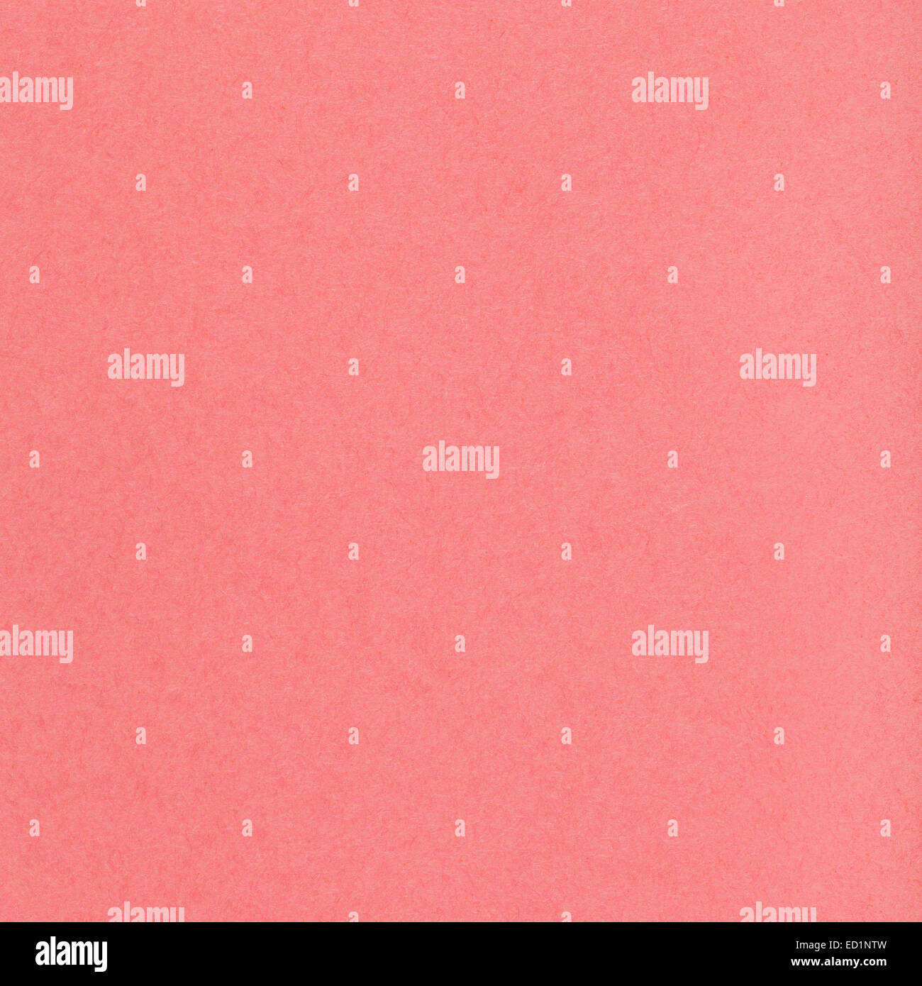 square background from sheet of coral colored pastel paper close up ...