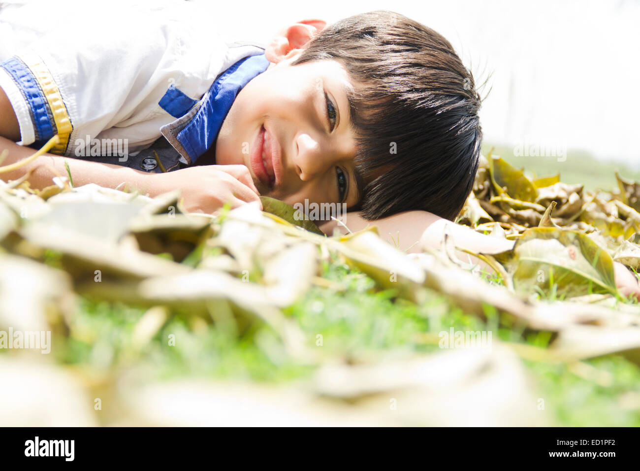 Boy up on pattern hi-res stock photography and images - Alamy
