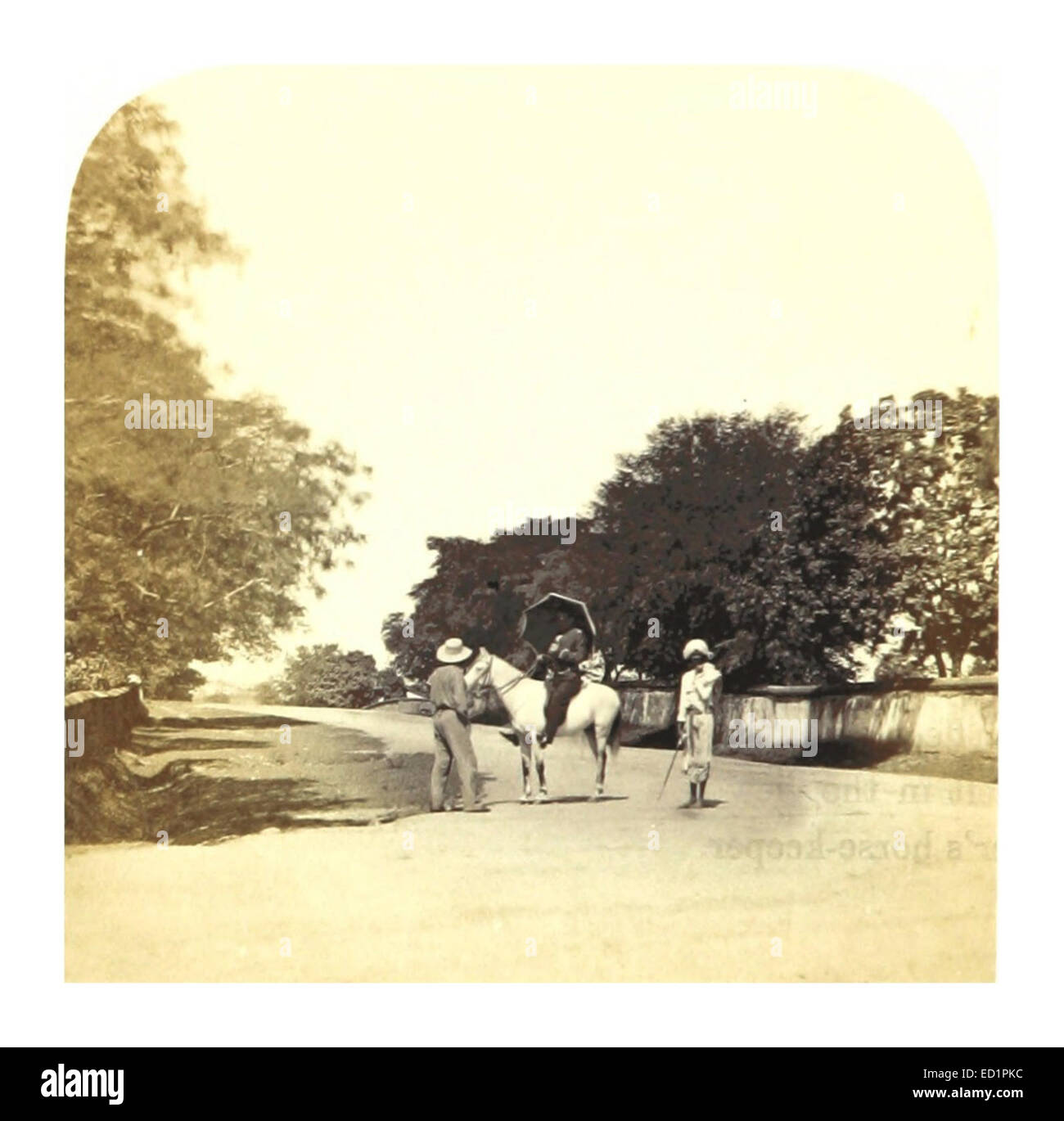 An 1862 illustration by Weld, capturing a midday scene in India with ...