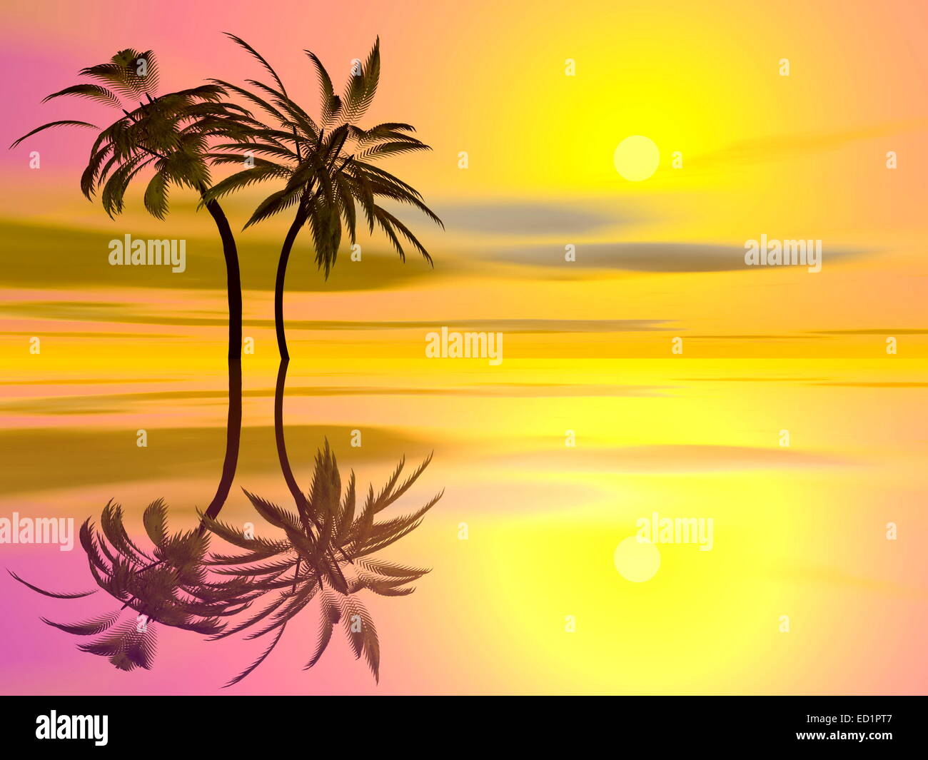 Palm trees and their reflection on orange sunset background Stock Photo ...