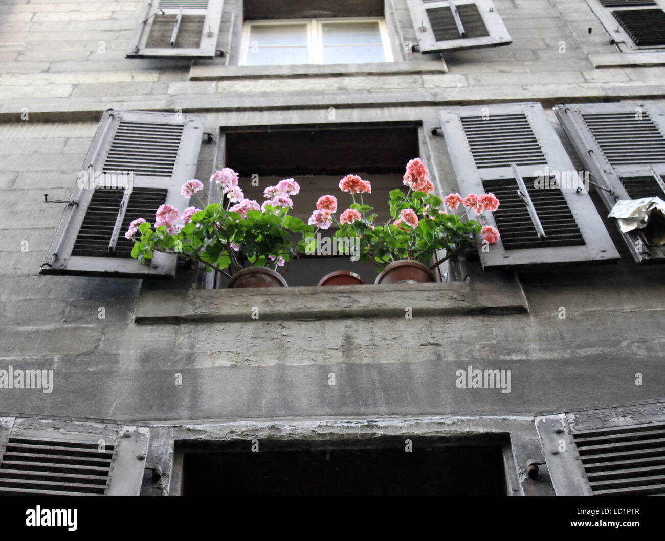An flowery window in old city, Geneva, Switzerland Stock Photo - Alamy