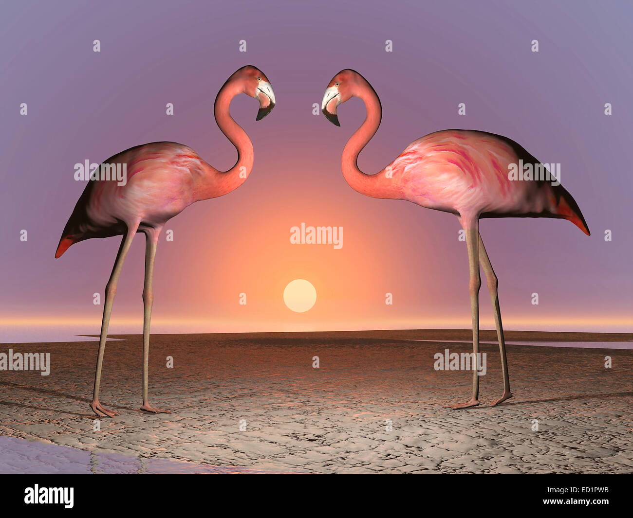 Two flamingos standing in front of each other for date by colorful ...