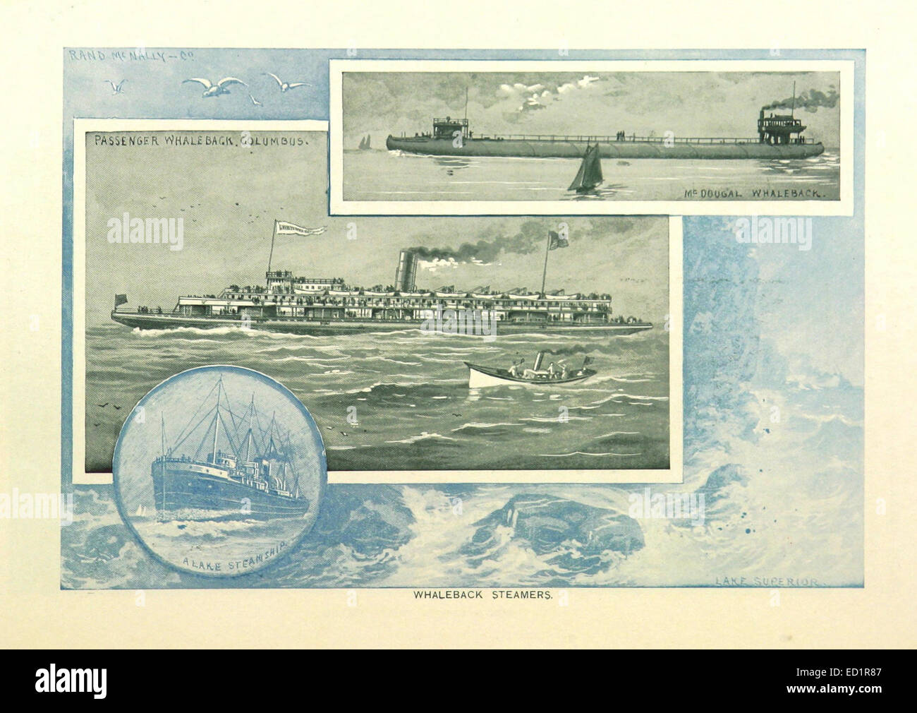 Whaleback hi-res stock photography and images - Alamy