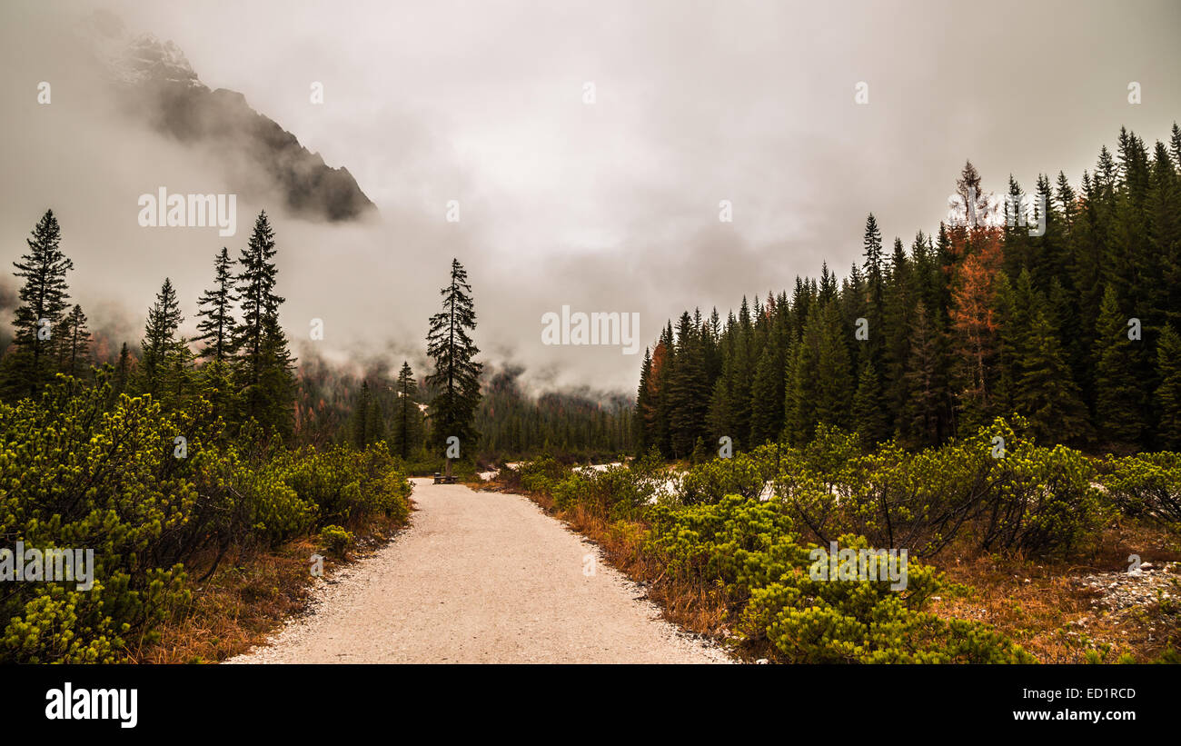 a mountain between the fog in the italian alps Stock Photo - Alamy