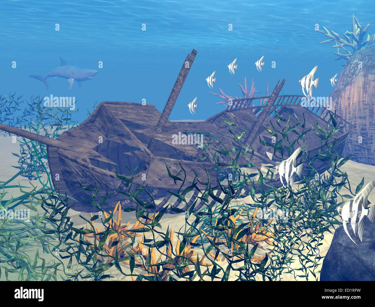 Shipwreck underwater surrounded with fishes, plants and coral Stock ...
