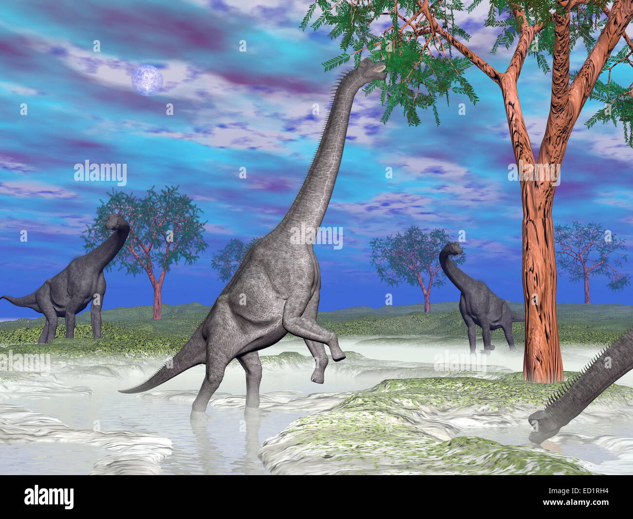 One brachiosaurus dinosaurs eating next to others in nature by colorful ...