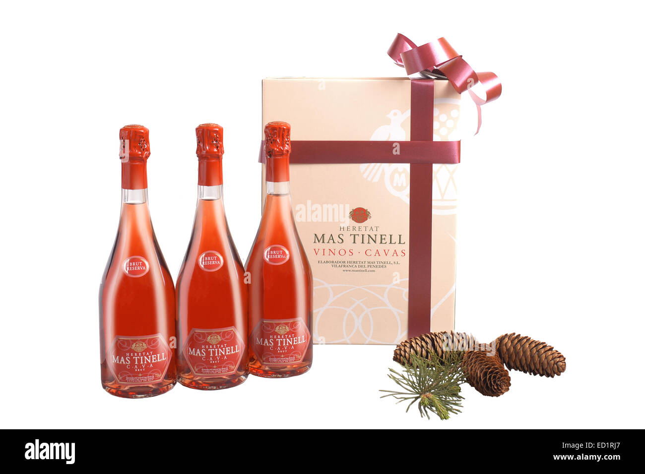 Spanish Bottle of Cava Sparkling wine. Catalonia cava mastinell ...