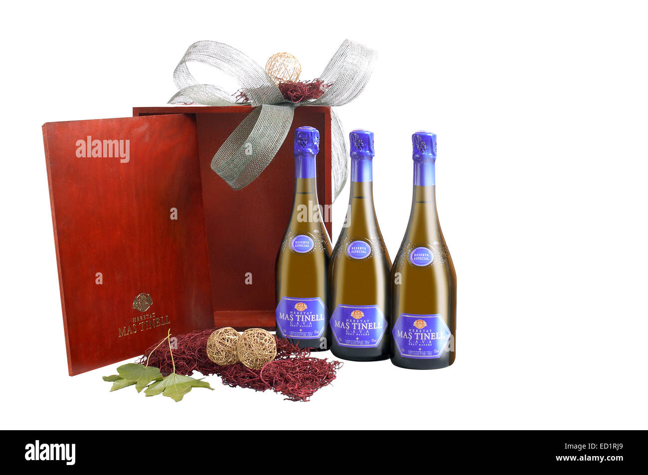 Spanish Bottle of Cava Sparkling wine. Catalonia cava mastinell ...