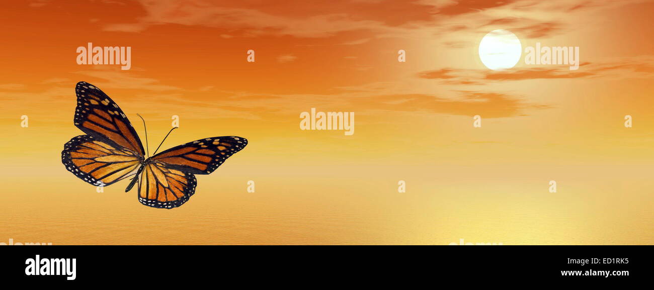 Beautiful monarch butterfly flying upon the ocean by orange sunset ...