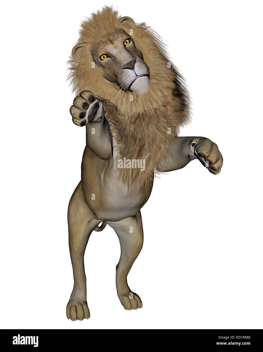 Beautiful lion with big mane jumping in white background Stock Photo ...