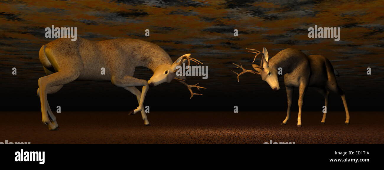 Fallow buck deer fighting one another in brown background light Stock ...