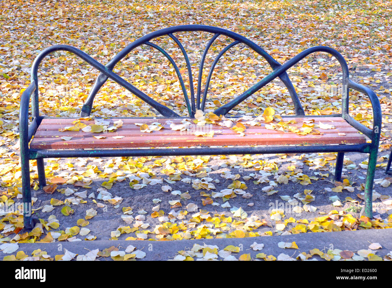 Standing lonely park bench Fallen leaves Stock Photo - Alamy