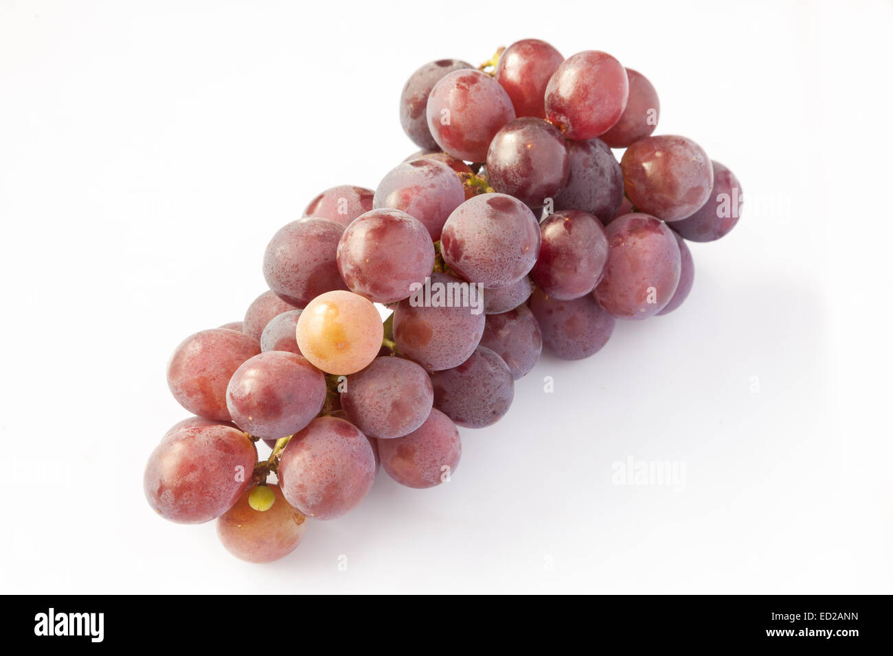 Grape tendril leaf isolated Cut Out Stock Images & Pictures - Alamy