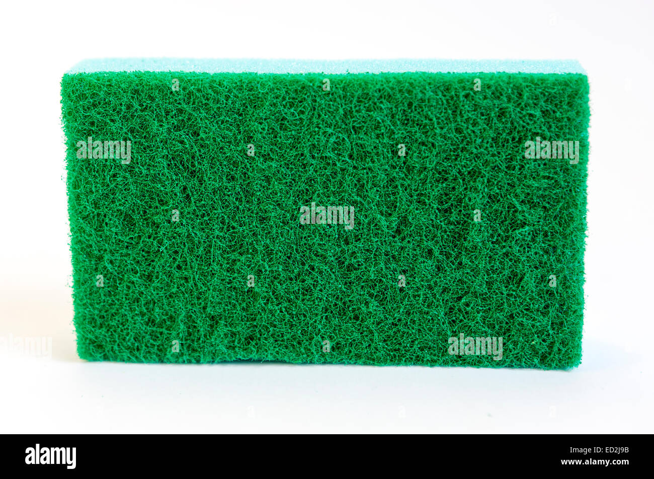 Blue sponge isolated on white Stock Photo - Alamy