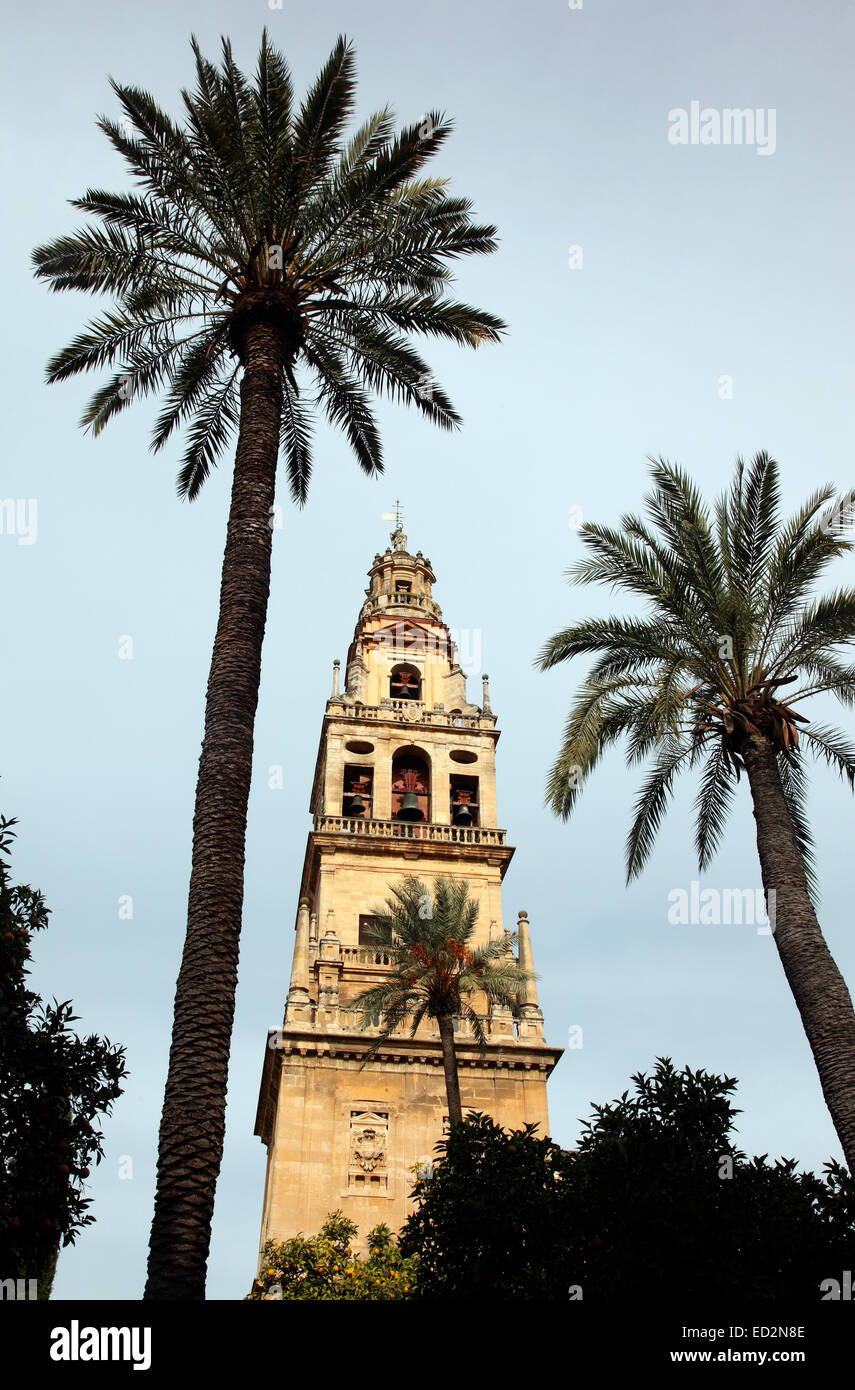 The Bell Tower of Cordoba Cathedral Stock Photo - Alamy