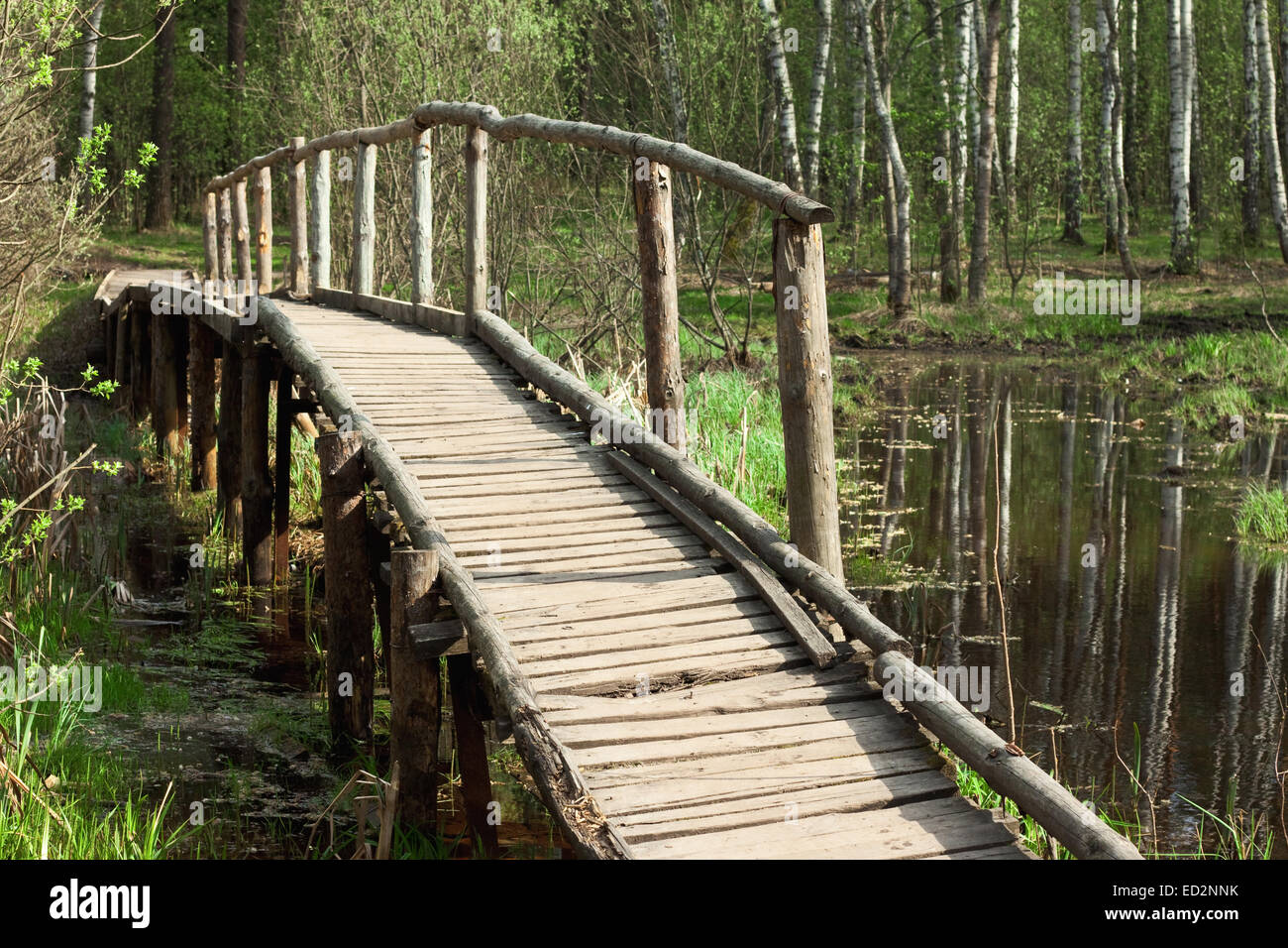 old wooden bridge in a spring forest Stock Photo - Alamy