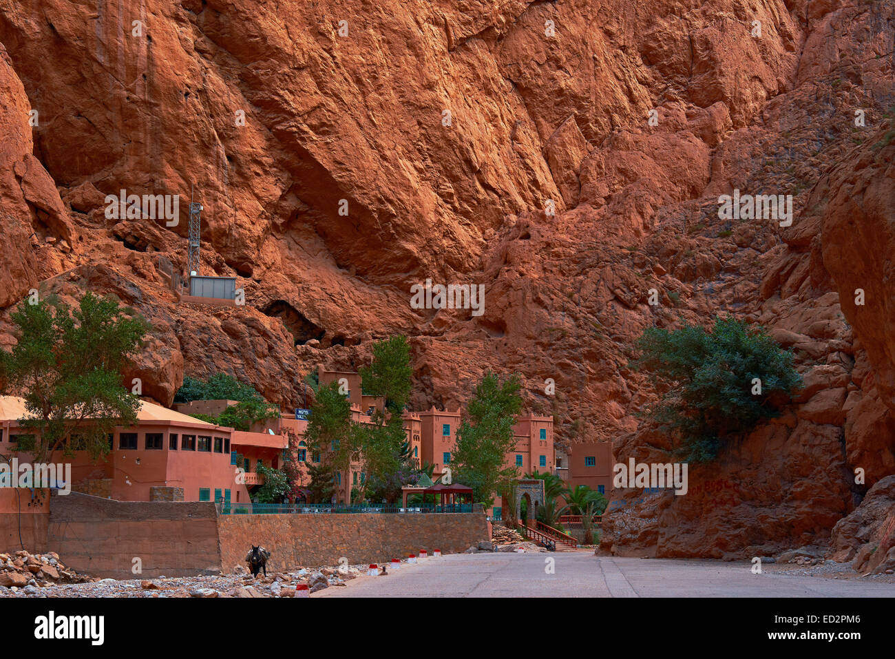 Todra Gorges, Todra valley, High Atlas Mountains, Morocco, North Africa ...