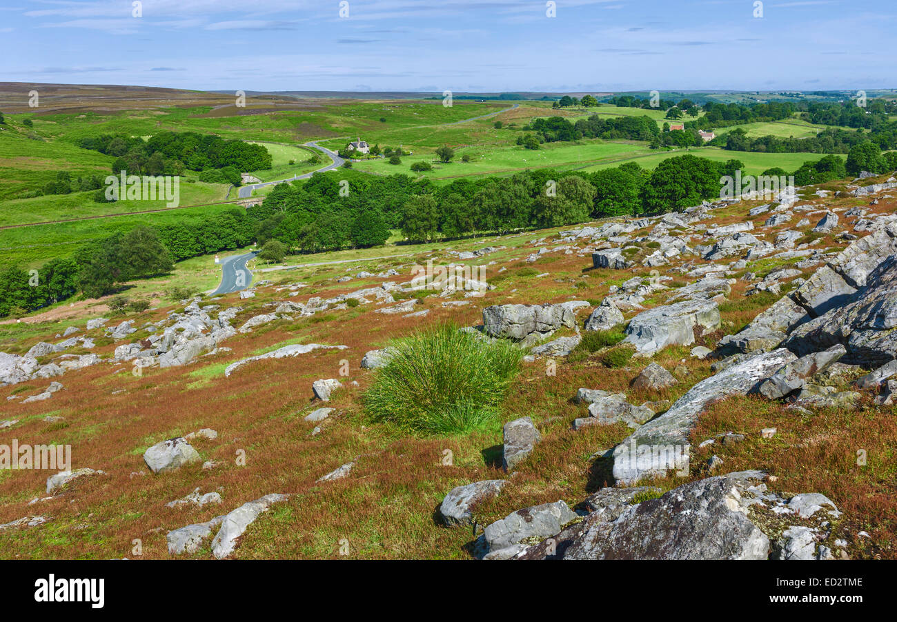 North York Moors National Park in spring showing the undulating ...