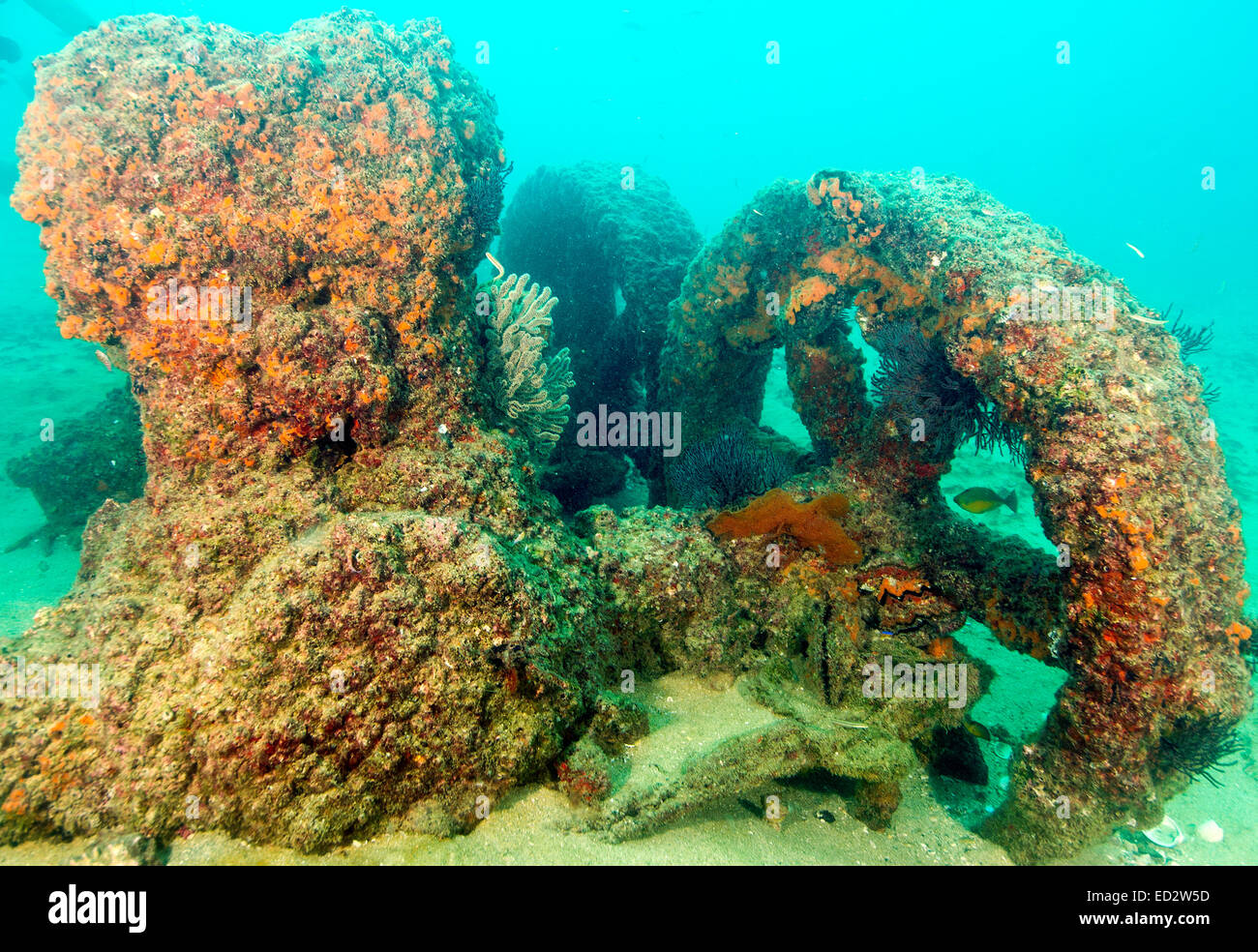 Encrusted ship parts at the Shipwreck, Cabo Pulmo, Mexico Stock Photo ...