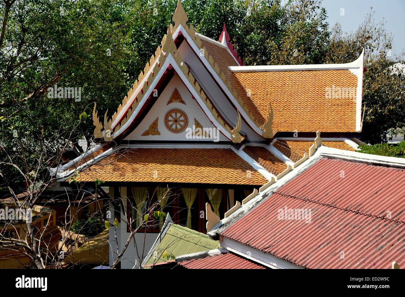 Birdlike Stock Photos & Birdlike Stock Images - Alamy