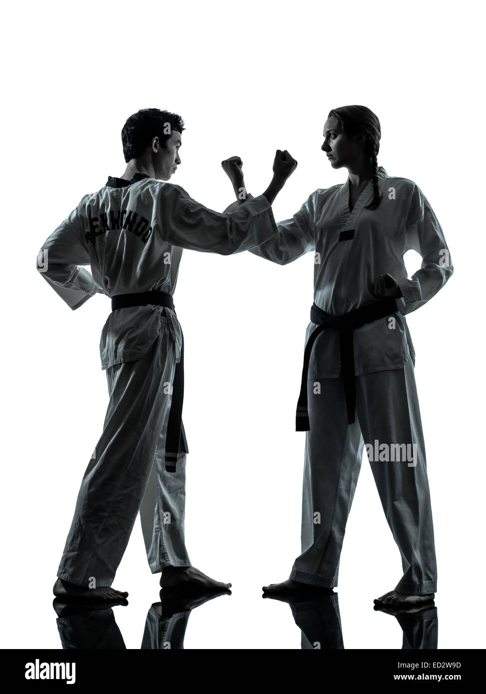 one couple man woman couple exercising karate taekwondo martial arts in ...