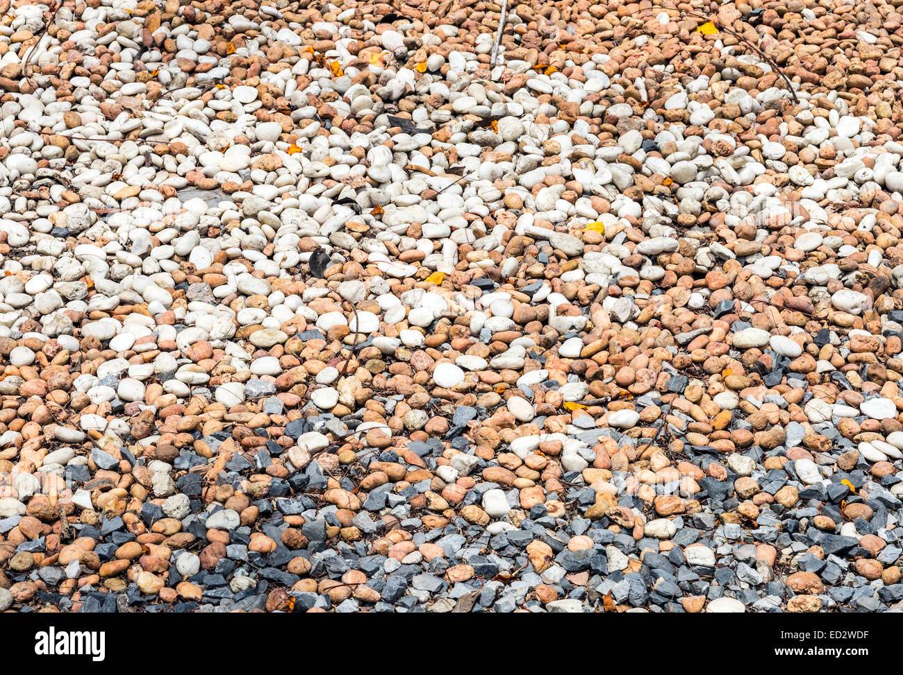 Variety of pebble on the home garden Stock Photo - Alamy